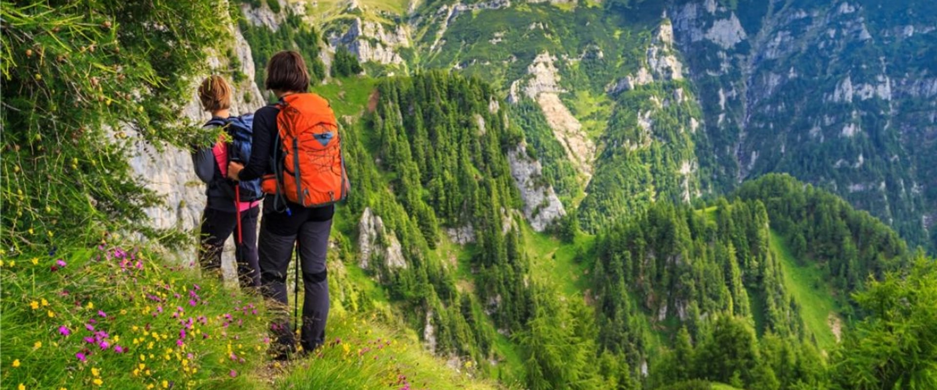 Hiking and Trekking in Transylvania: Exploring the Great Outdoors